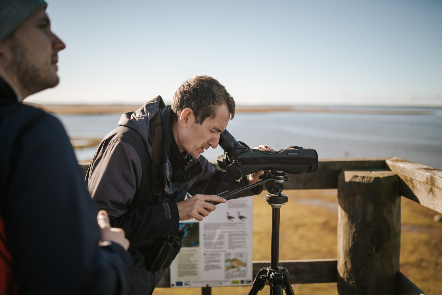 Meist • Tarvo Valker • Birding Haapsalu