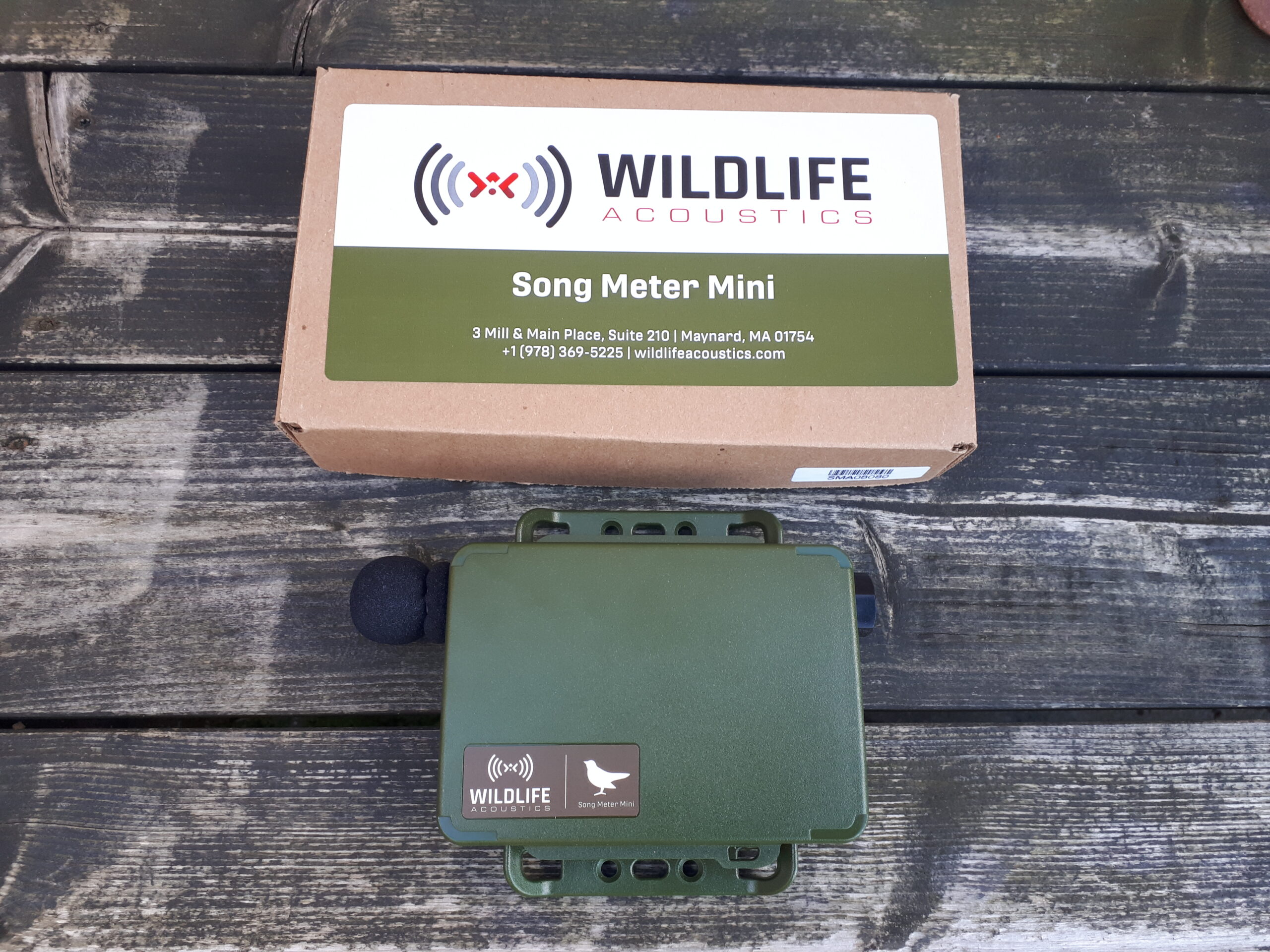 Öörände jälgimine - SONG METER MINI • Birding Haapsalu